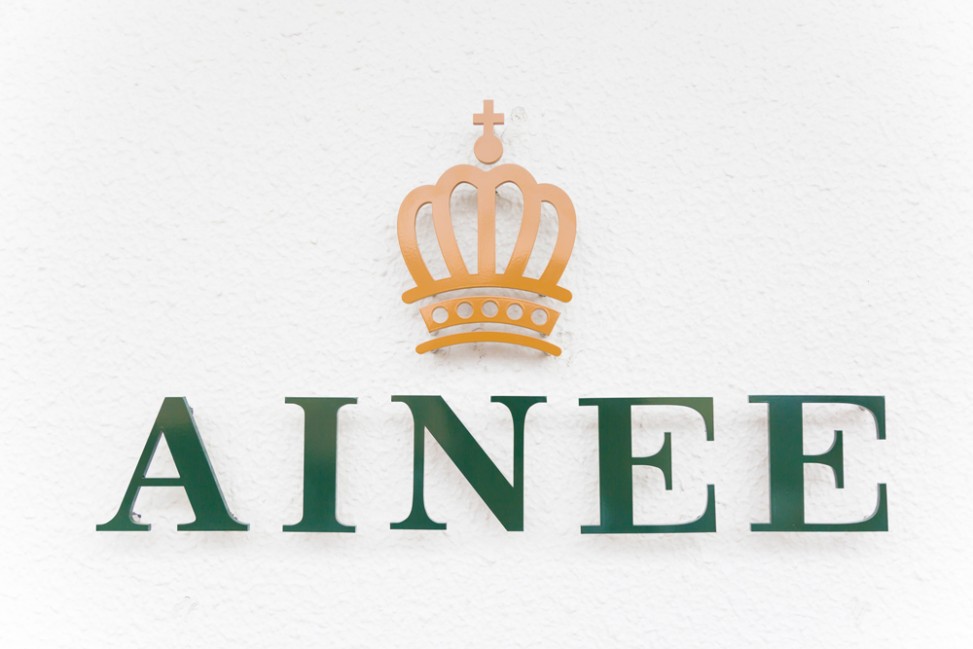 AINEE logo design